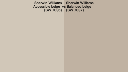 Designer Review of Sherwin Williams Accessible Beige (Real Examples ...