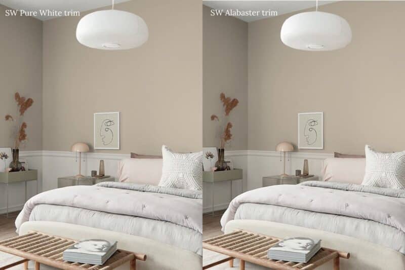 Designer Review of Sherwin Williams Accessible Beige (Real Examples ...